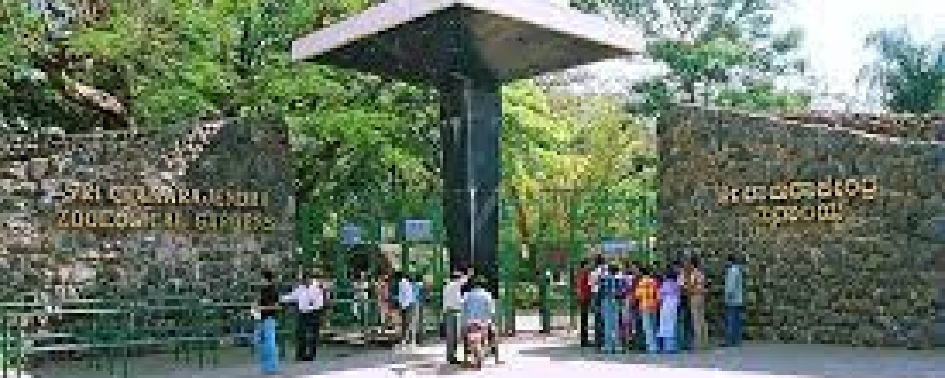 Explore Mysore Zoo, Mysuru with Dook